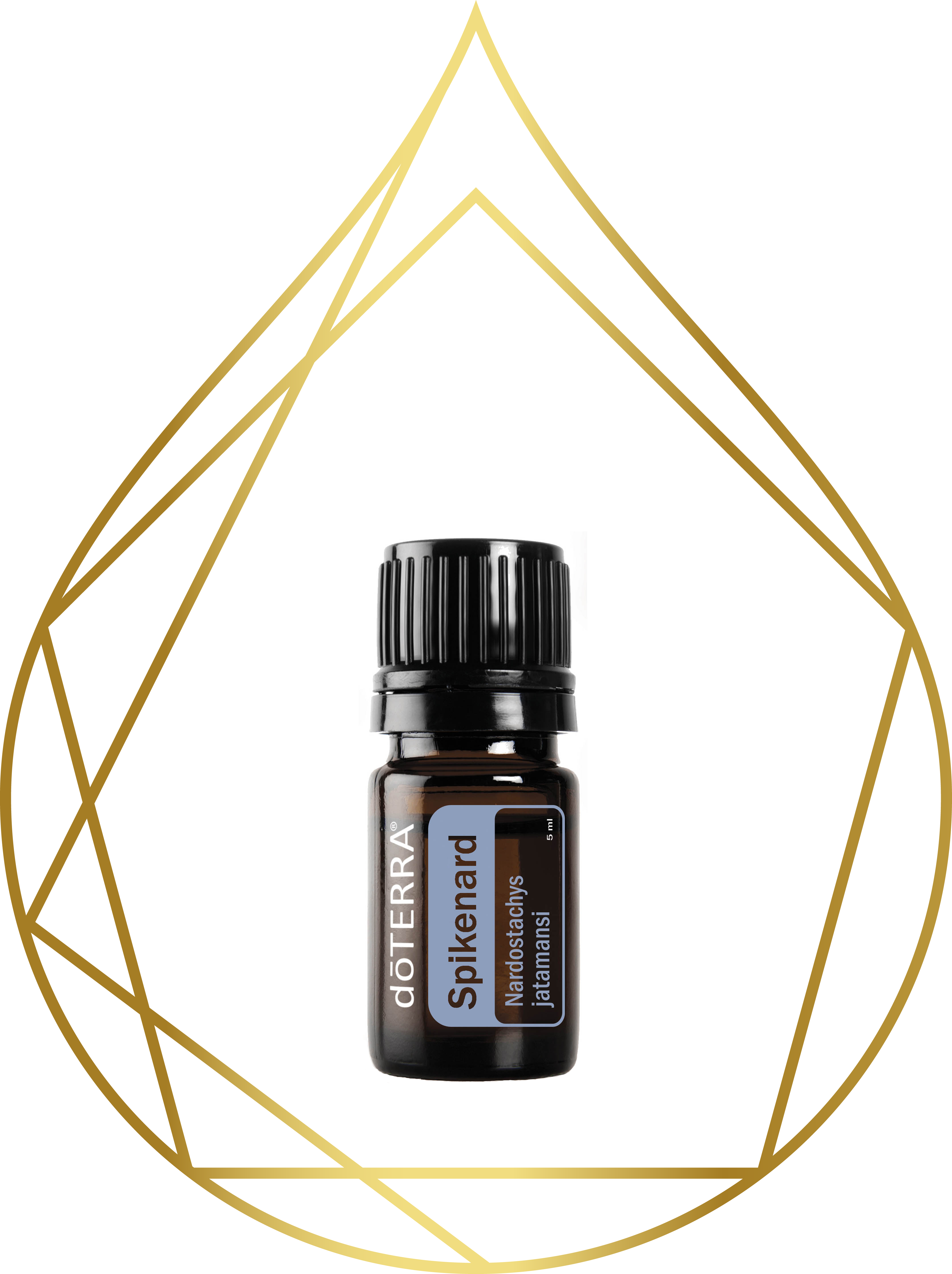 Spikenard My Pure Essential Oils
