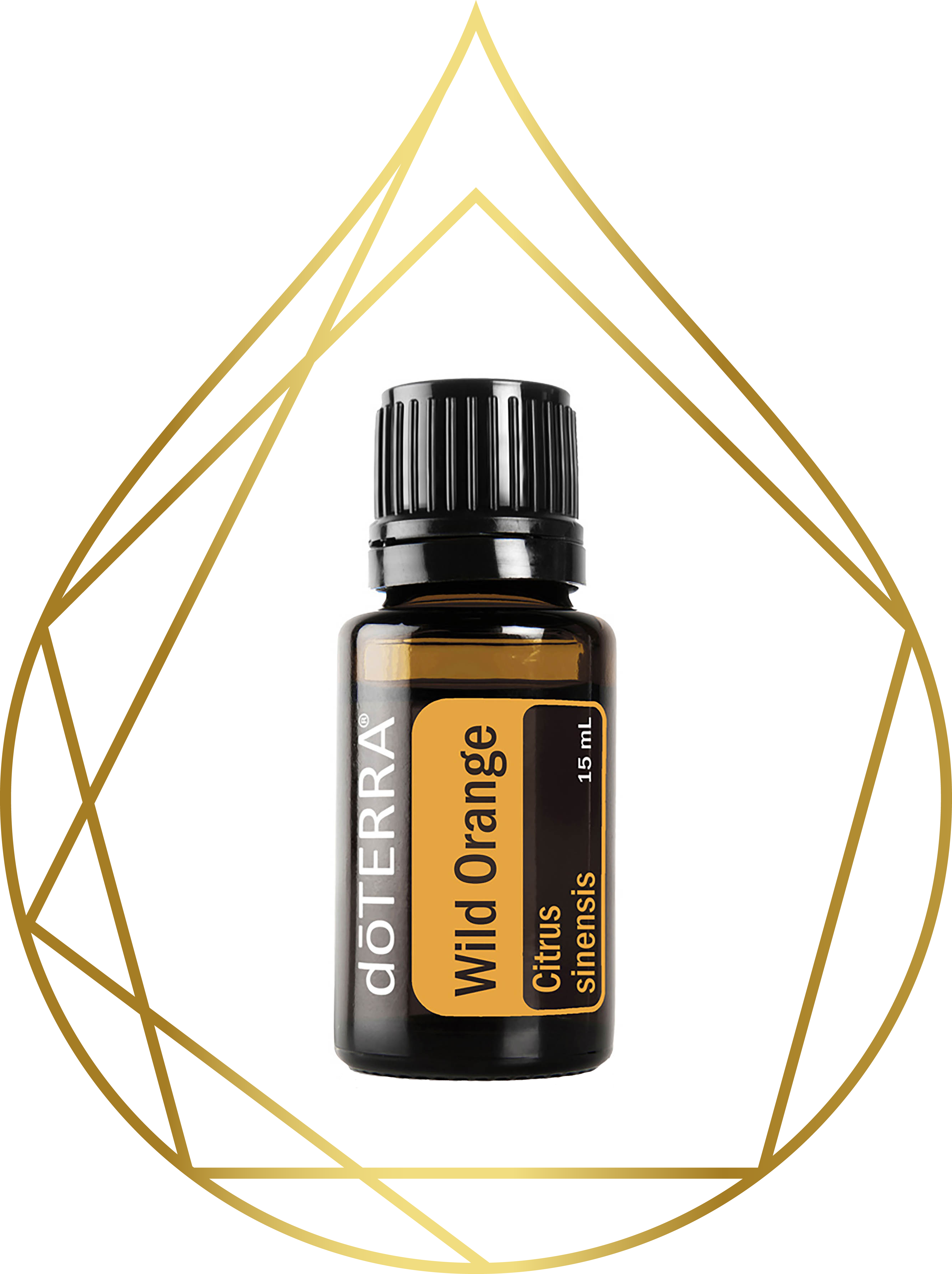 Doterra Wild Orange